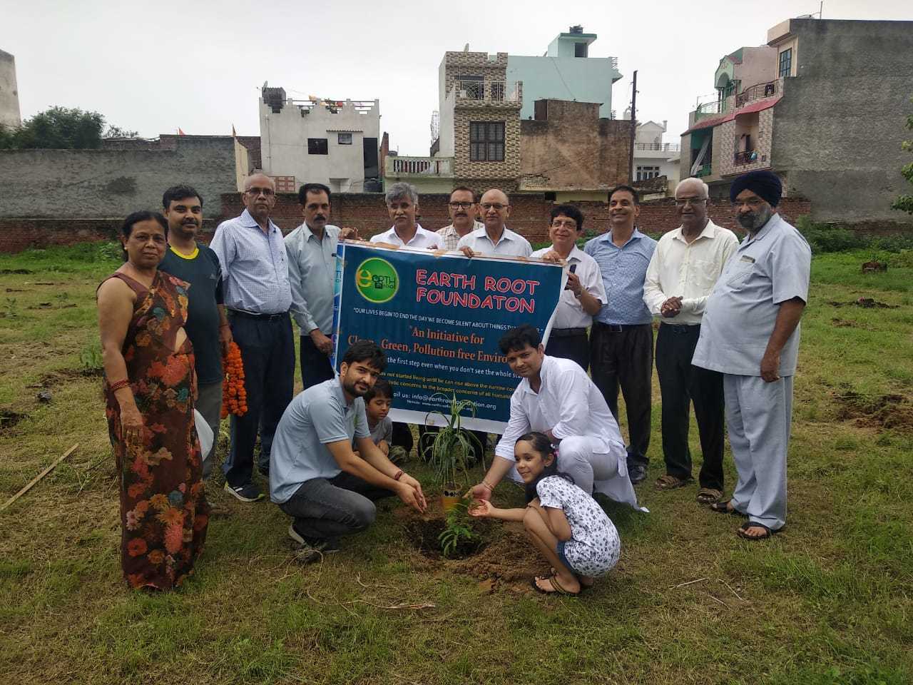 Gallery | Earth Root Foundation