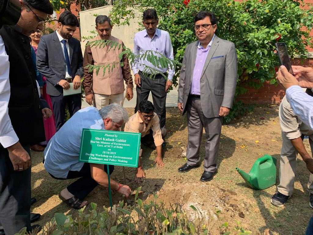 Gallery | Earth Root Foundation